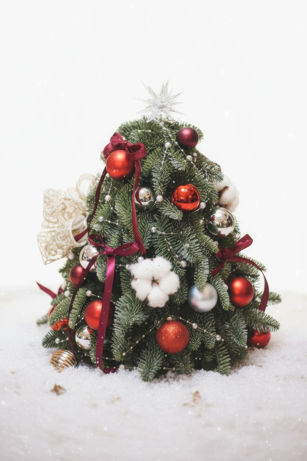 Mini Noble Christmas Tree (Imported from Holland) - Red - Blossom Florist